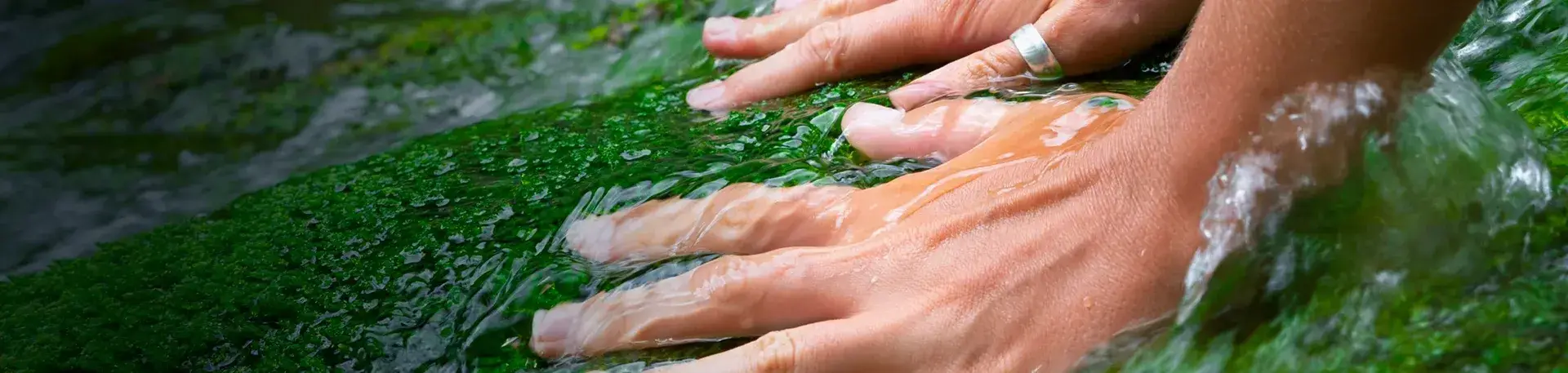 Environmental Sampling and Analysis Solutions | Phenomenex