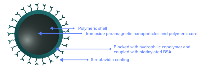 bioZen Magbeads: Phenomenex