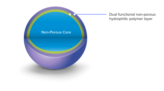 Biozen WCX HPLC Columns: Phenomenex