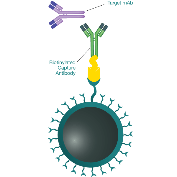 Phenomenex UHPLC, HPLC, SPE, GC - Leader in Analytical Chemistry Solutions