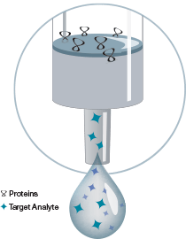 Protein Precipitation (PPT): Phenomenex